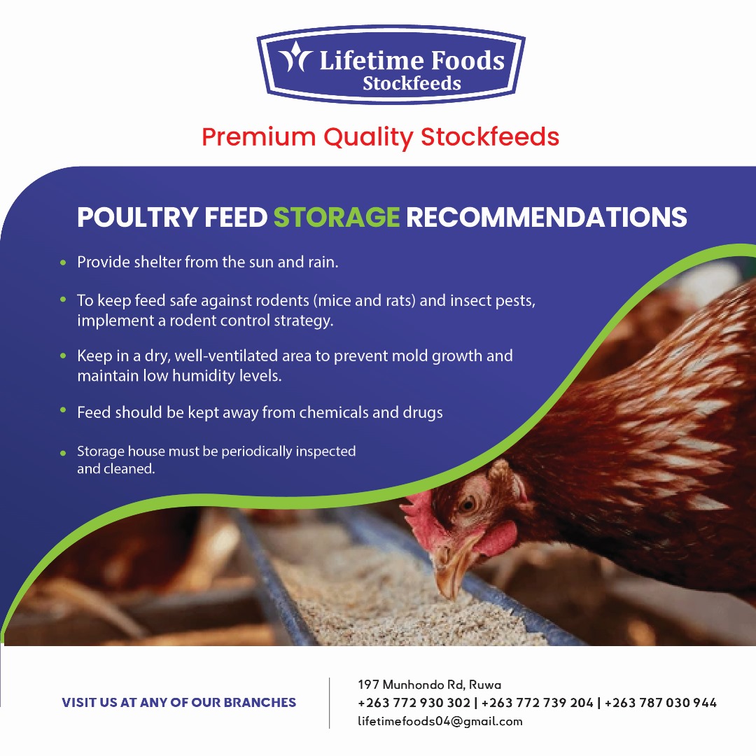 Lifetime Foods